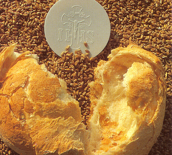 25 luglio 2021. Domenica 17aDAL SEGNO DEI PANI AL PANE COME SEGNO ...